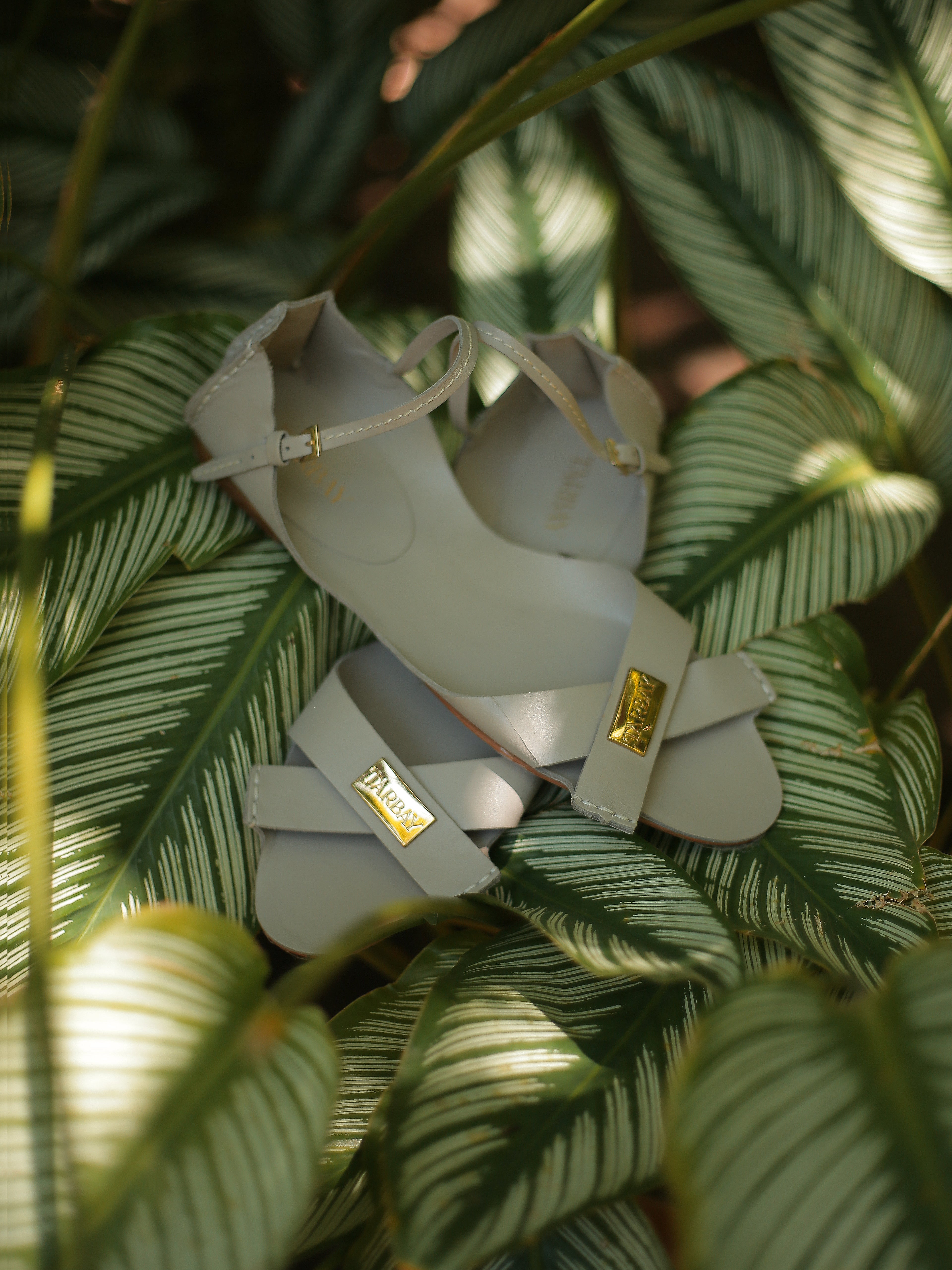 TARBAY | Jewelry, Shoes, Handbags, Clothing & Accessories